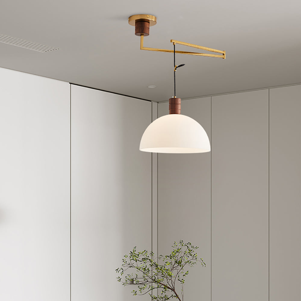 Aeyee Adjustable Pendant Light Fixture, Industrial Swing Arm Hanging L ...